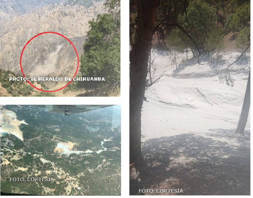 Fondation Danielle Mitterrand Haro sur l’irresponsabilité des ...